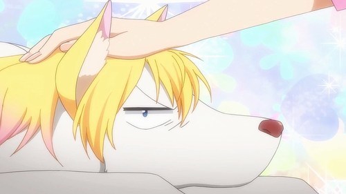 《伪恋》漫画21卷单行本新婚情节OAD PV公布_资讯_360游戏